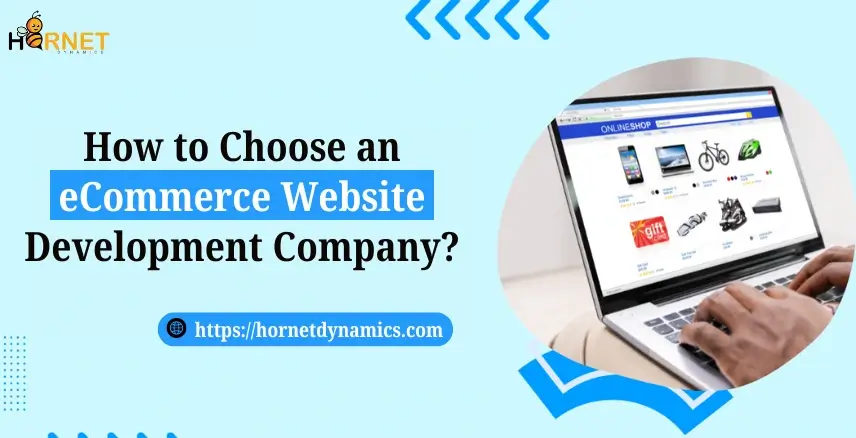 How to Choose an eCommerce Website Development Company?