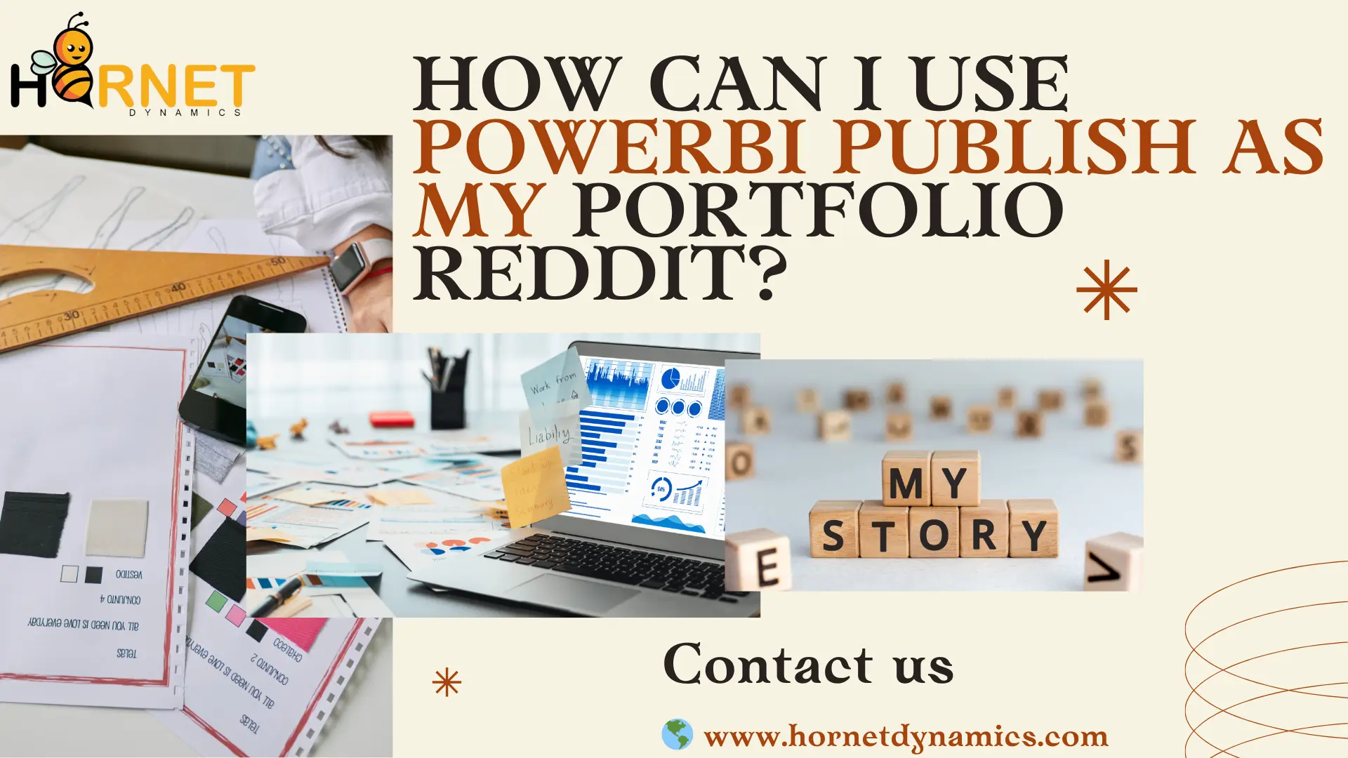How can I use PowerBI publish as my portfolio Reddit?